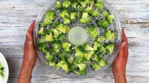 Dehydrating Broccoli for Food Storage - Best Clean Eating