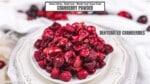 Dry Cranberry Powder Recipe For Your Pantry - Best Clean Eating