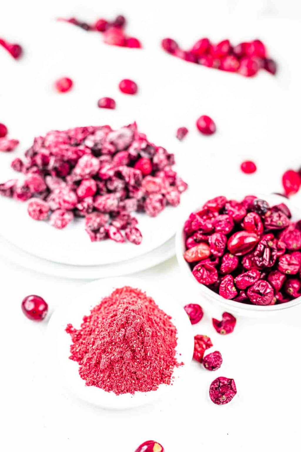 Dry Cranberry Powder Recipe For Your Pantry - Best Clean Eating