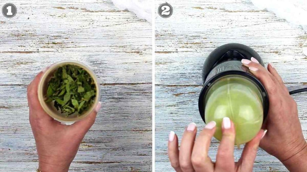 How To Make Stevia Powder Using Stevia Leaves - Best Clean Eating