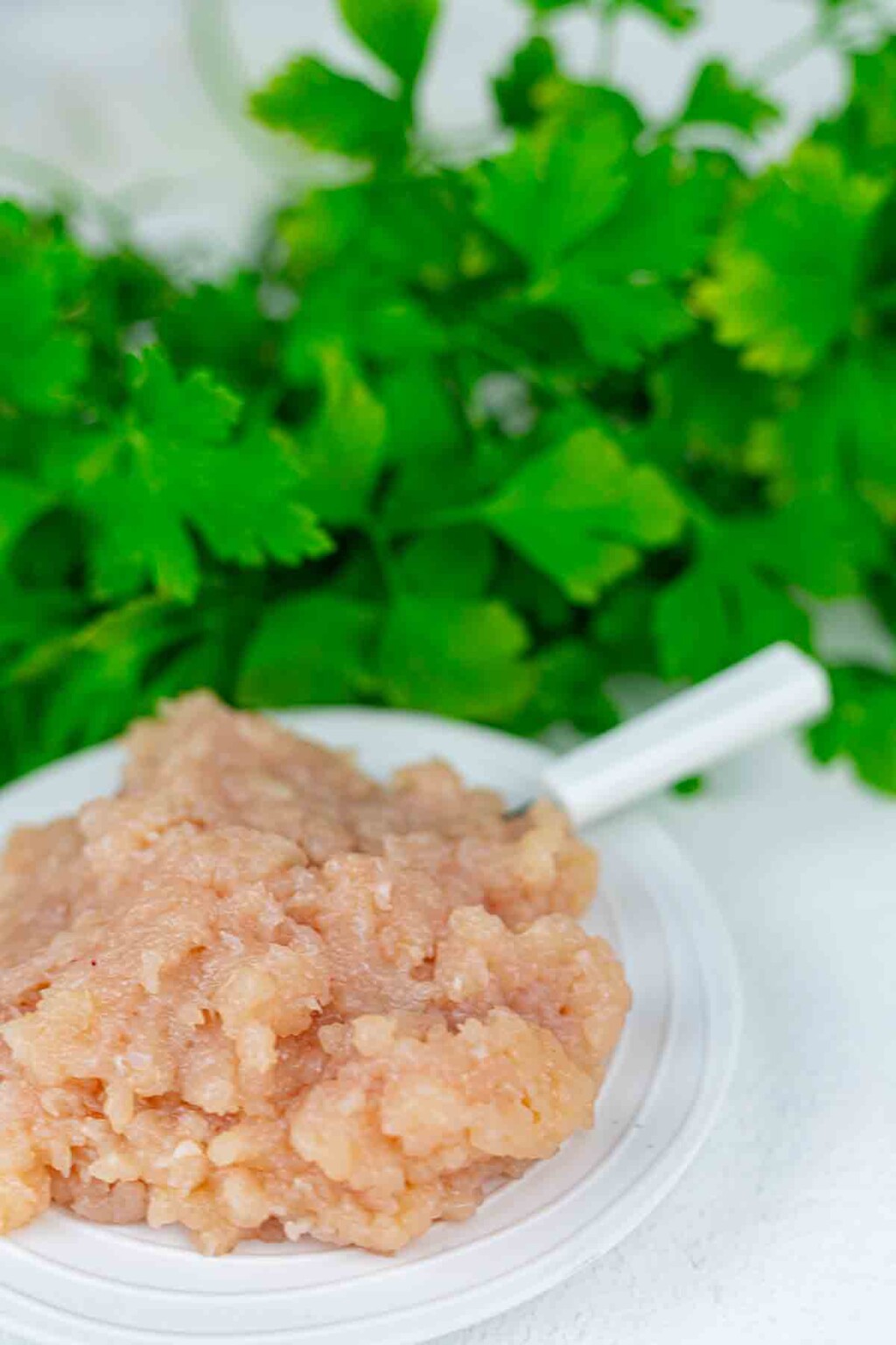 How To Make Ground Chicken - Best Clean Eating